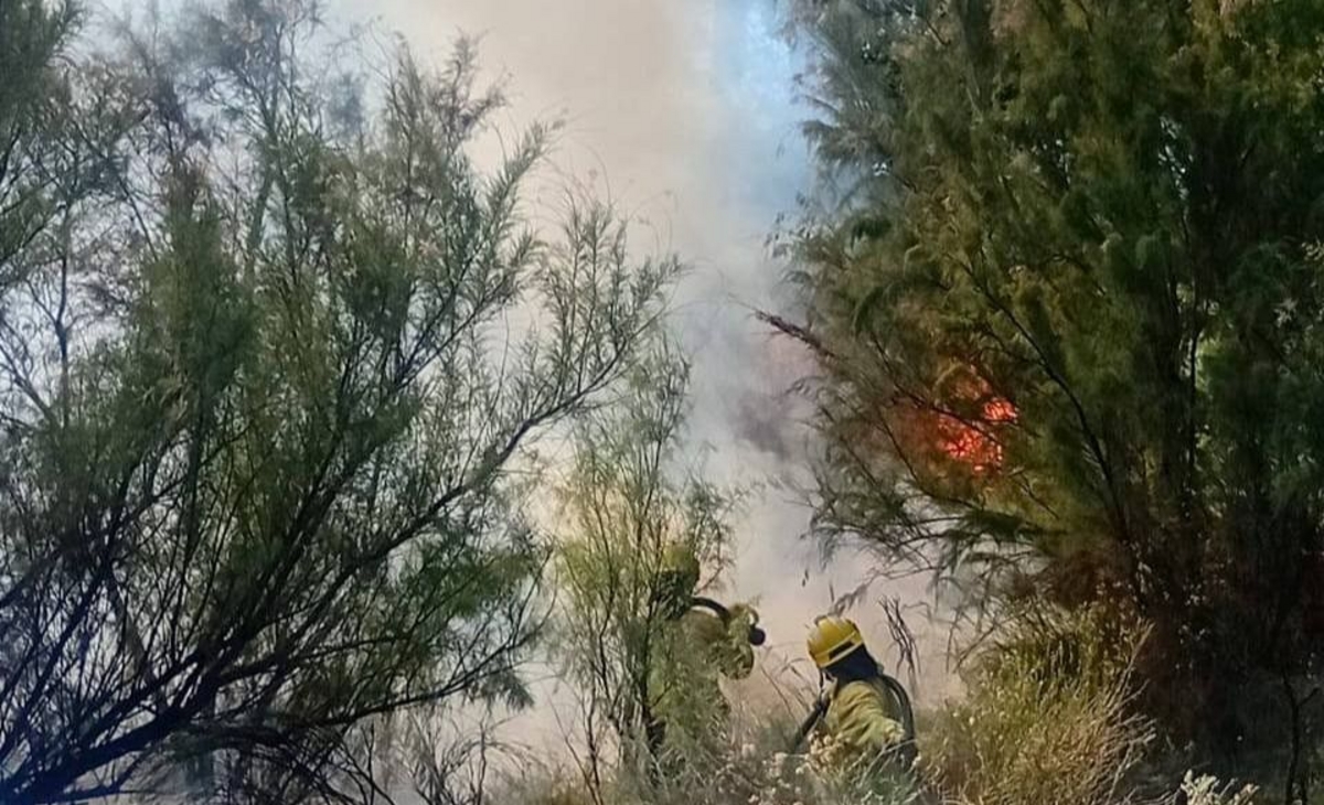 Dos demorados por generar un incendio que quemó 200 hectáreas en ...