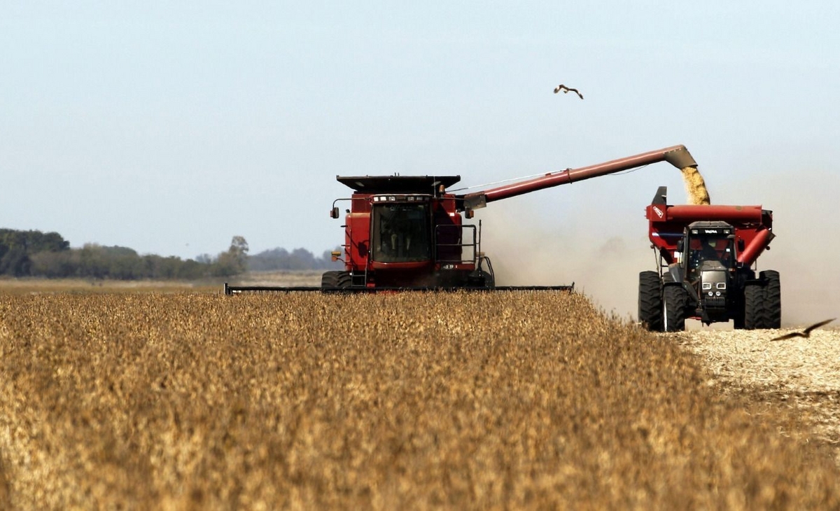 El campo erogó USD 348 millones