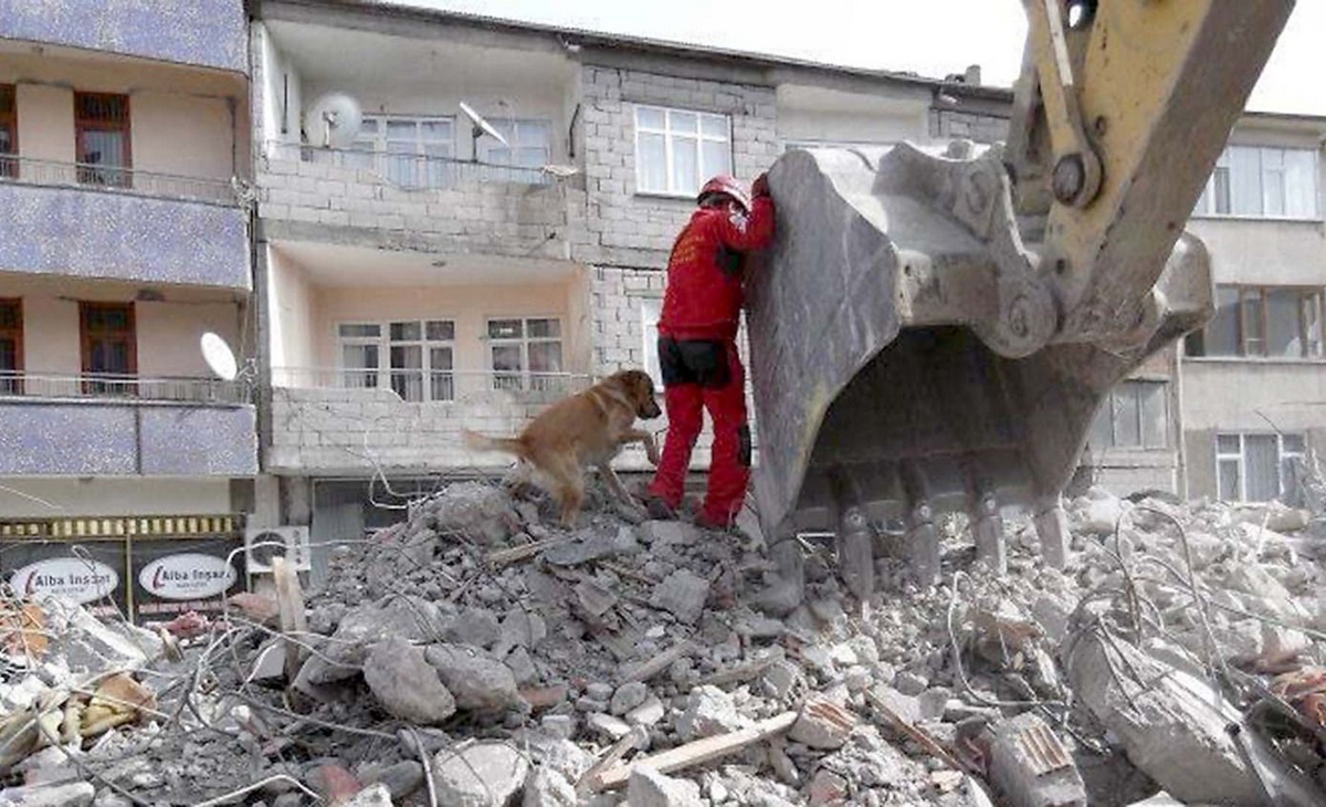 Canes: quieren construir un campo “único en Sudamérica”